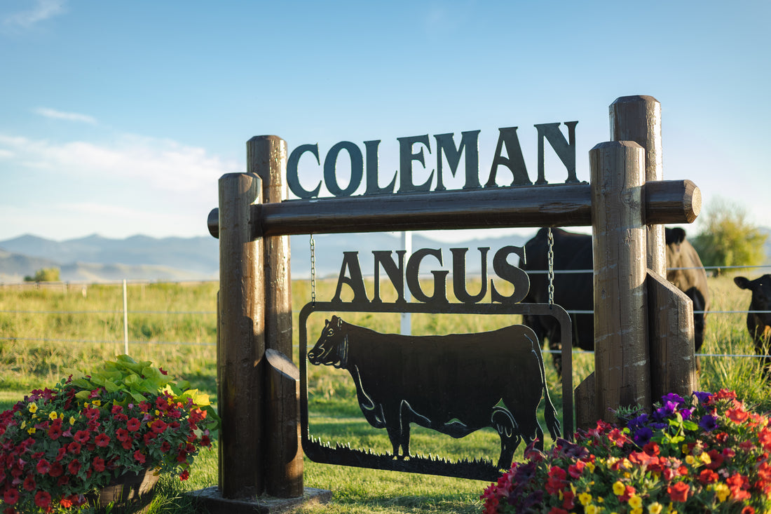 Coleman Angus
